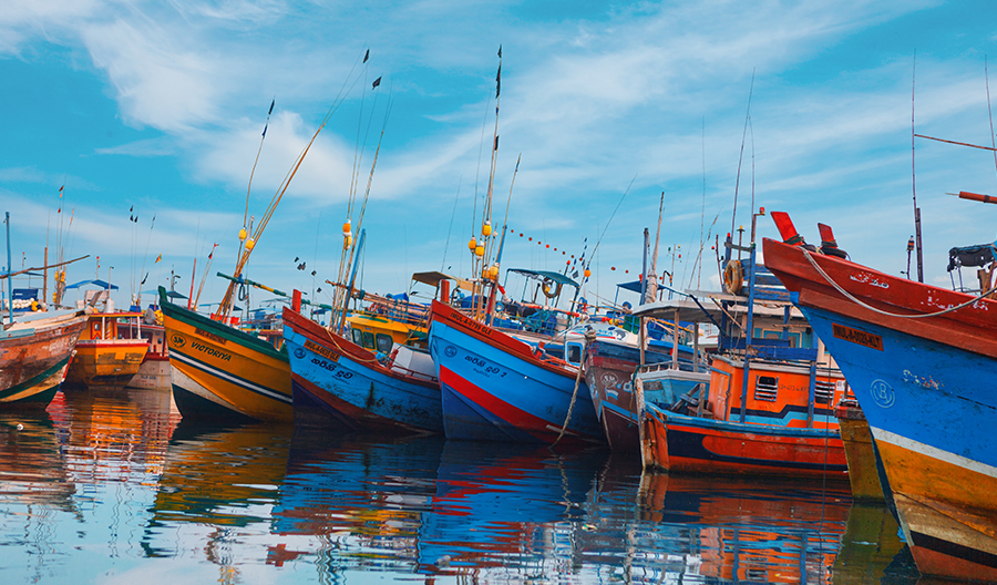 SUSTAINABILITY - NusaTuna